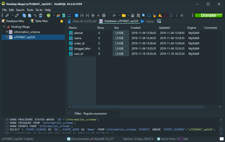 Cara Menggunakan dan Manfaat HeidiSQL - Hosteko Blog