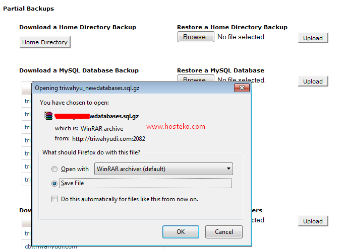 Cara backup database di cpanel - HOSTEKO